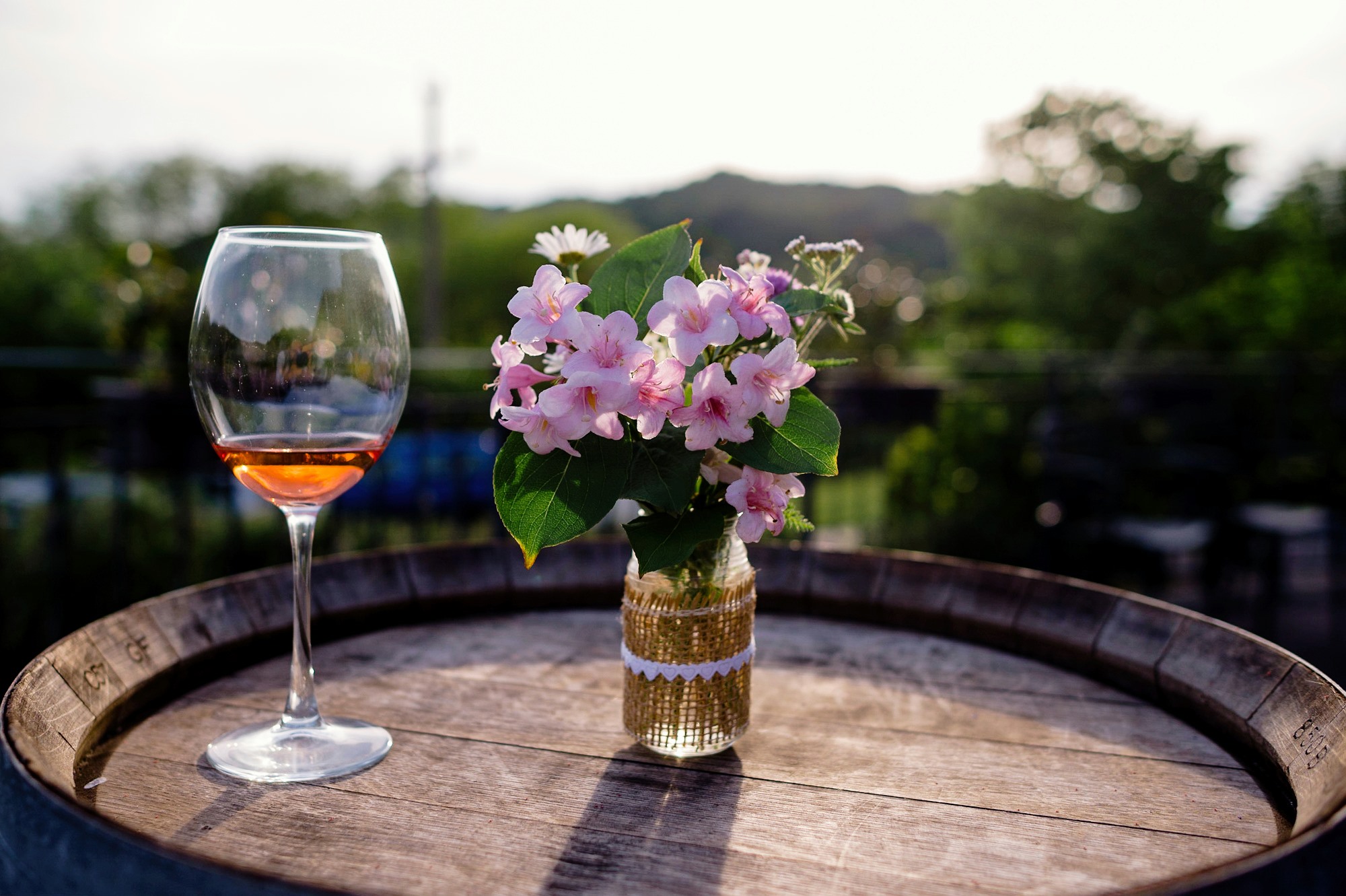 Martinovanje 2019 - HIša posebne sorte